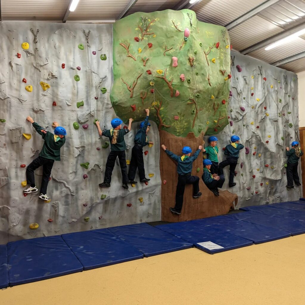 New Scout Troop | Ifield Scout Group